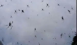 Waterspouts - Fascinating Facts For Kids/Young Students.